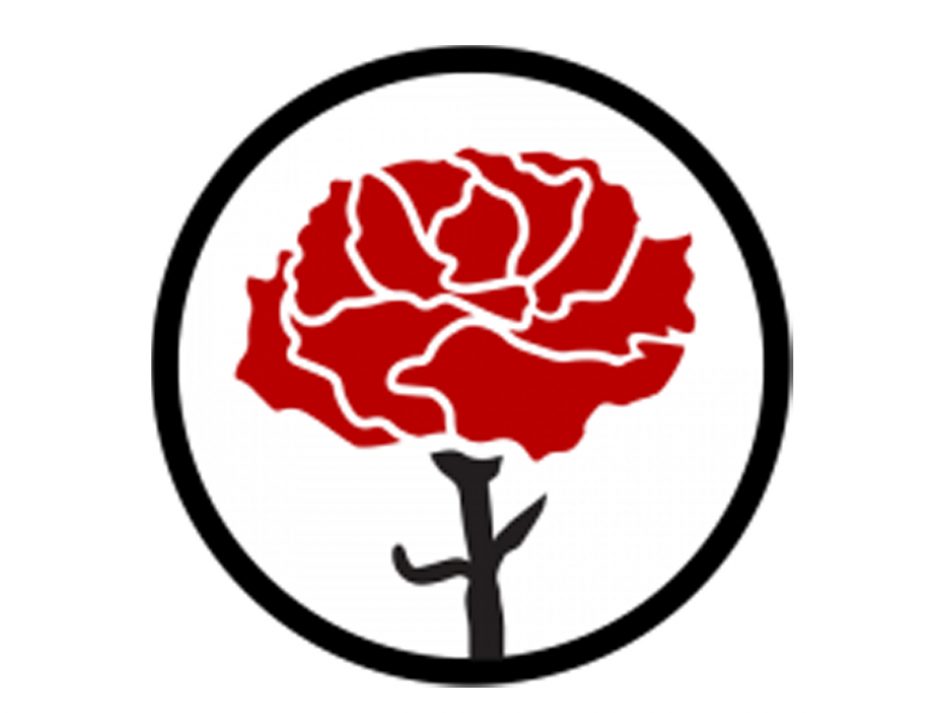 Colorados: Elección Nacional de Segundo Grado – Política UR30